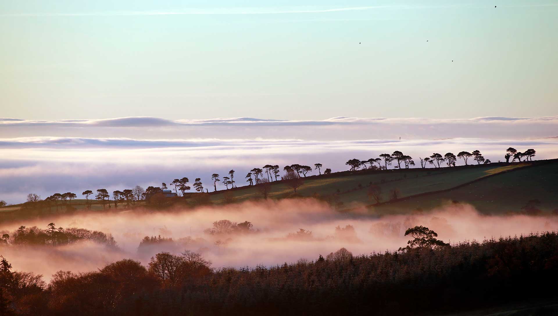 The Saxon Battle of Delgany 1022 - Delgany Heritage Village
