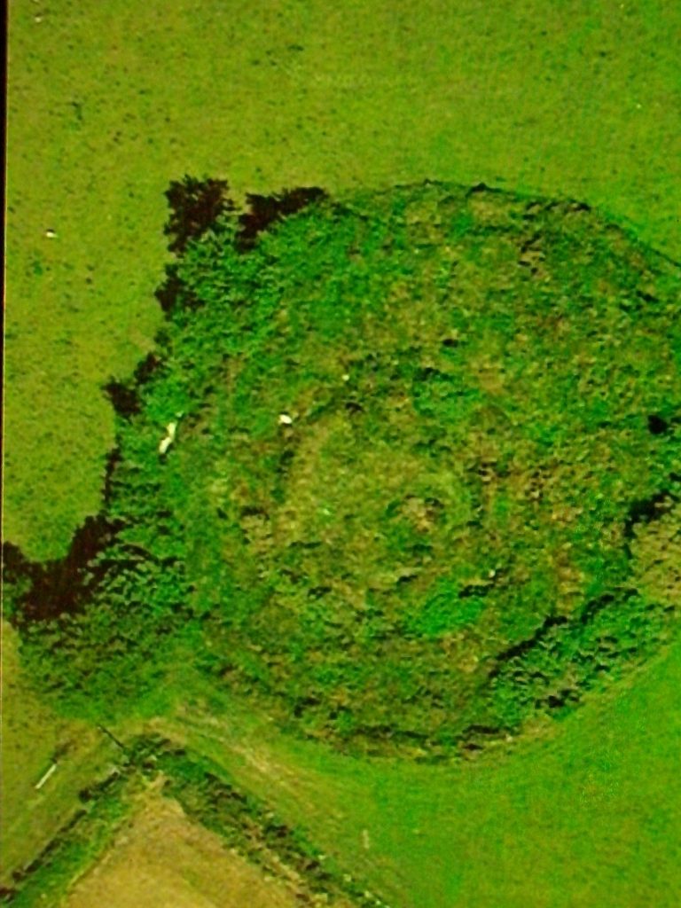 Raths or Ringforts - Donard Imaal History