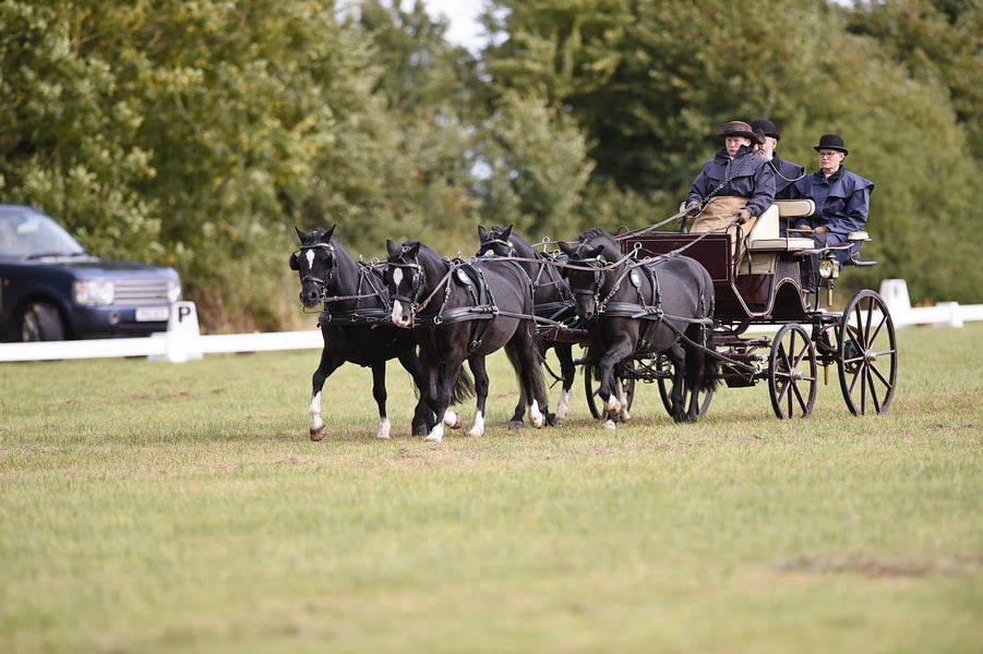 Carriage Driving - Donard Imaal History