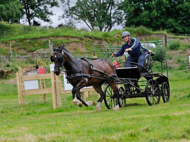 Carriage Driving - Donard Imaal History