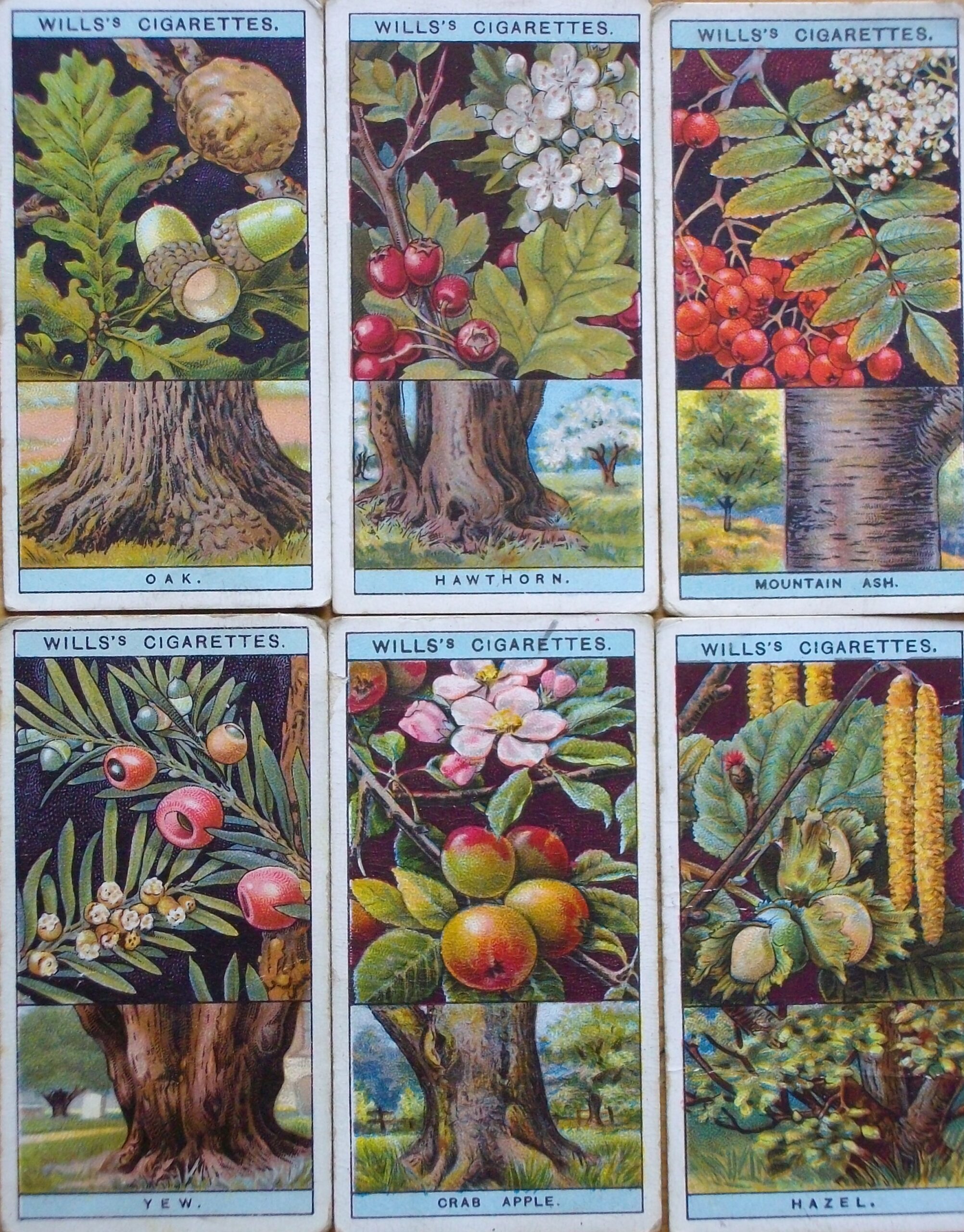 Cigarette Cards - Donard Imaal History