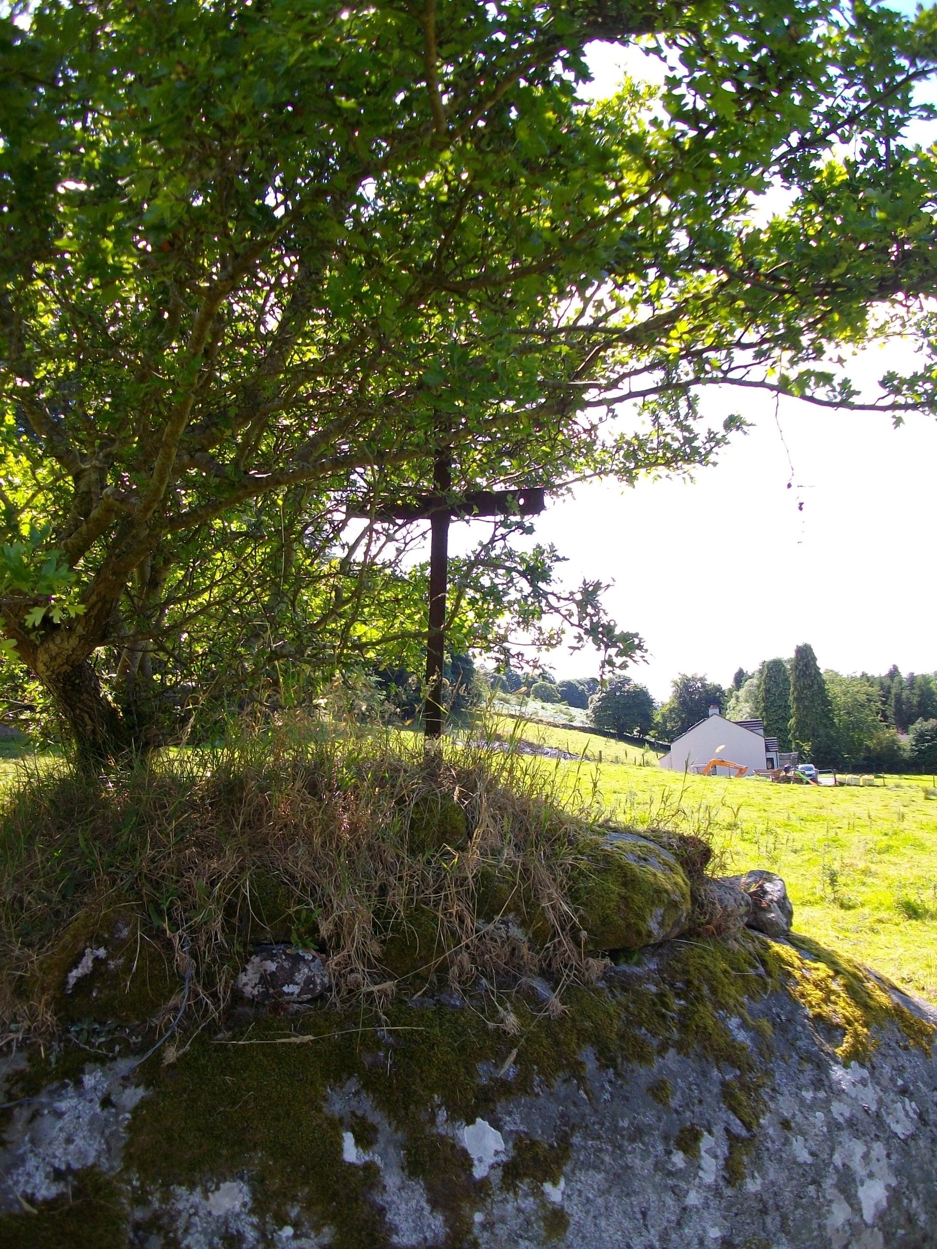 Murrain Cross - Donard Imaal History