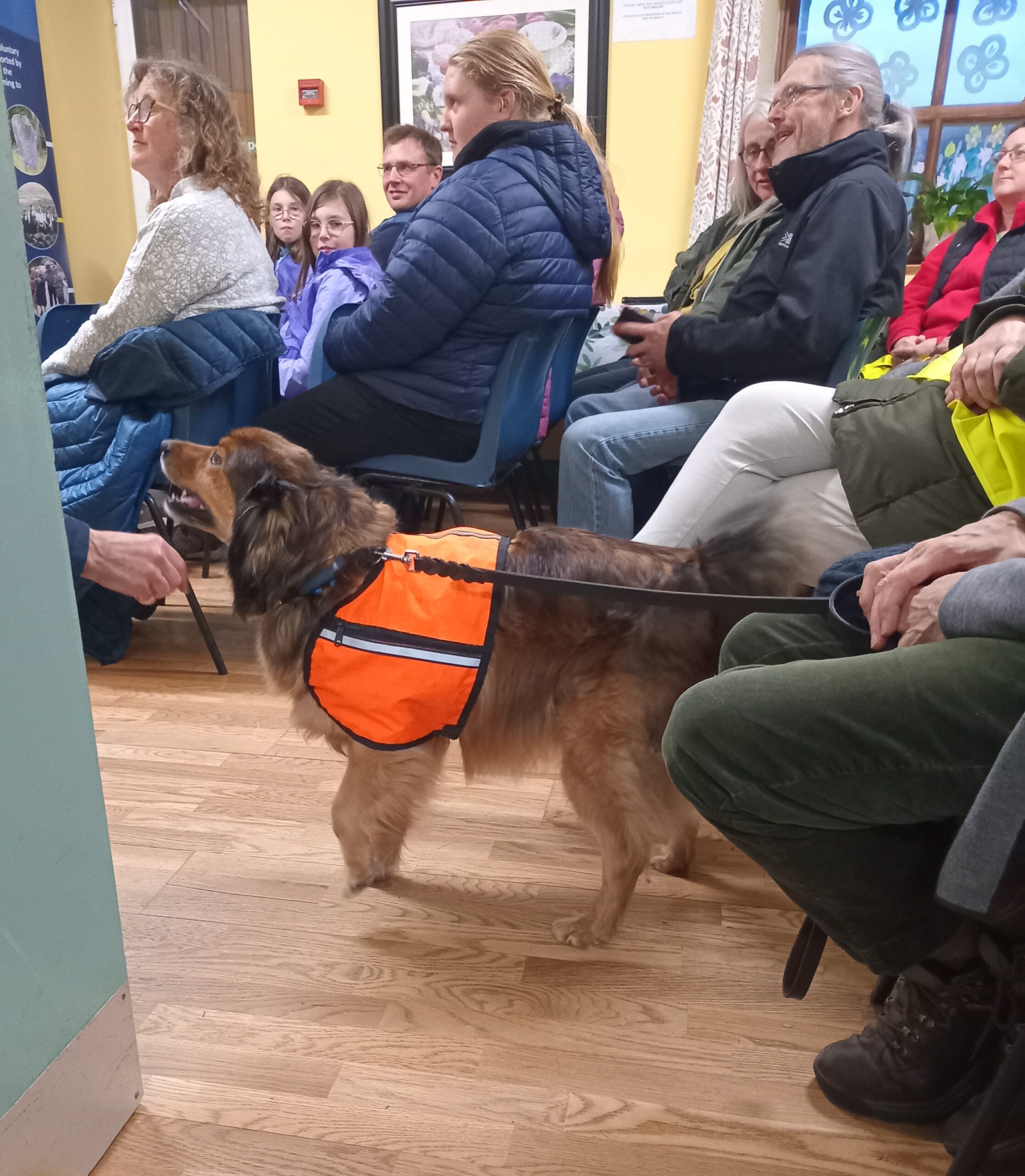 Donard medieval graveyard bat walk - Donard Imaal History