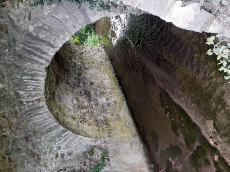 THE BARONY OF RATHDOWN