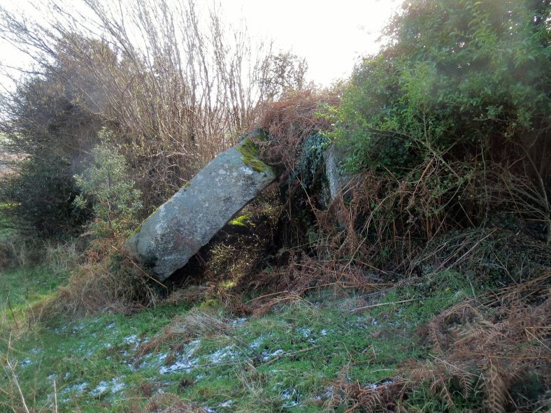 Onagh Portal also known as Glaskenny
