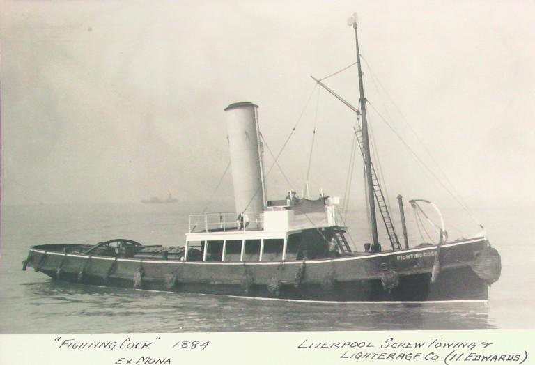 Steam ship excursions to Greystones