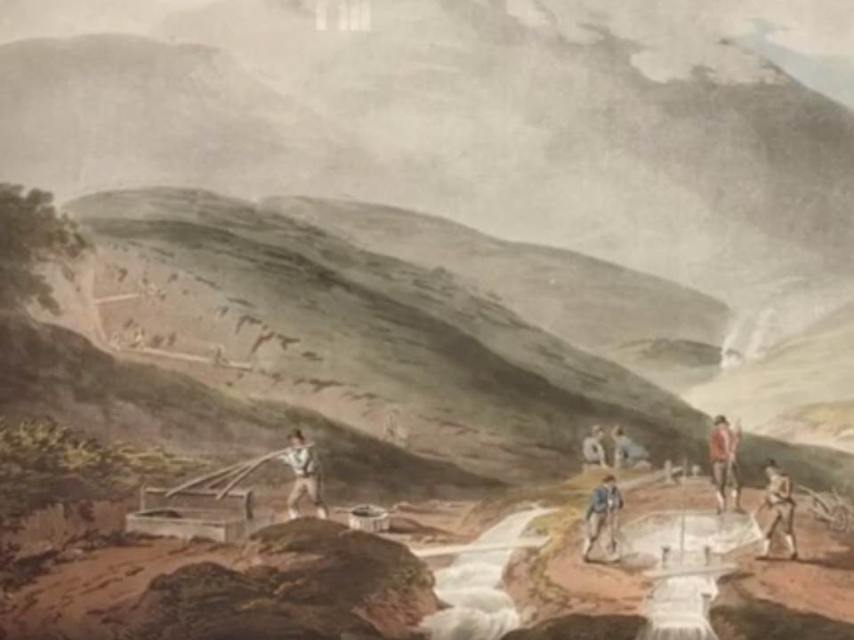 The Wicklow Gold Rush
