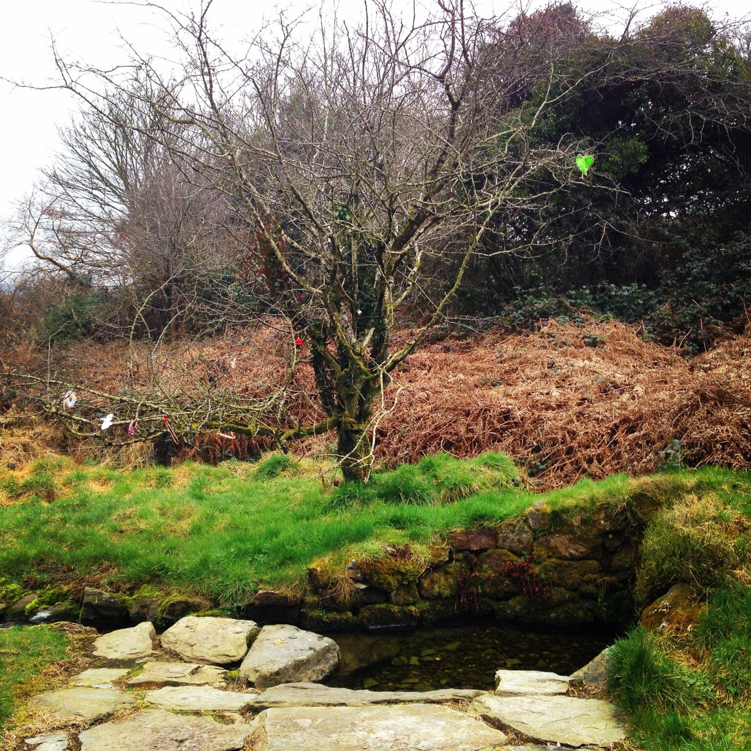 Toberpatrick Holy Well - County Wicklow Heritage