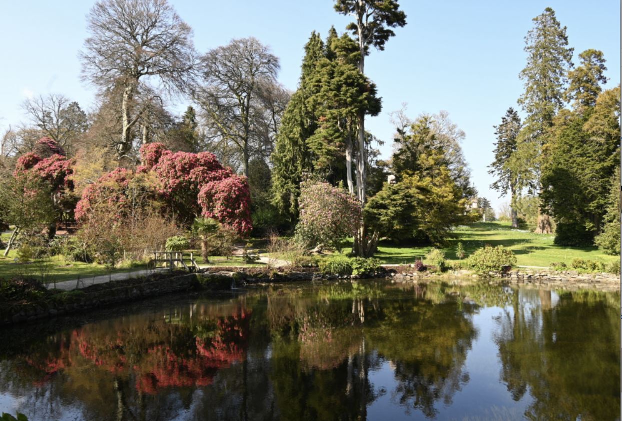 Kilmacurragh Botanic Gardens: A Gem in County Wicklow, Ireland