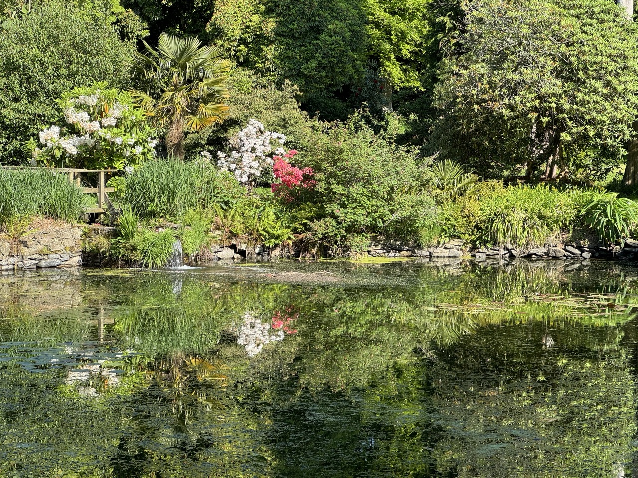 Kilmacurragh Botanic Gardens: A Gem in County Wicklow, Ireland