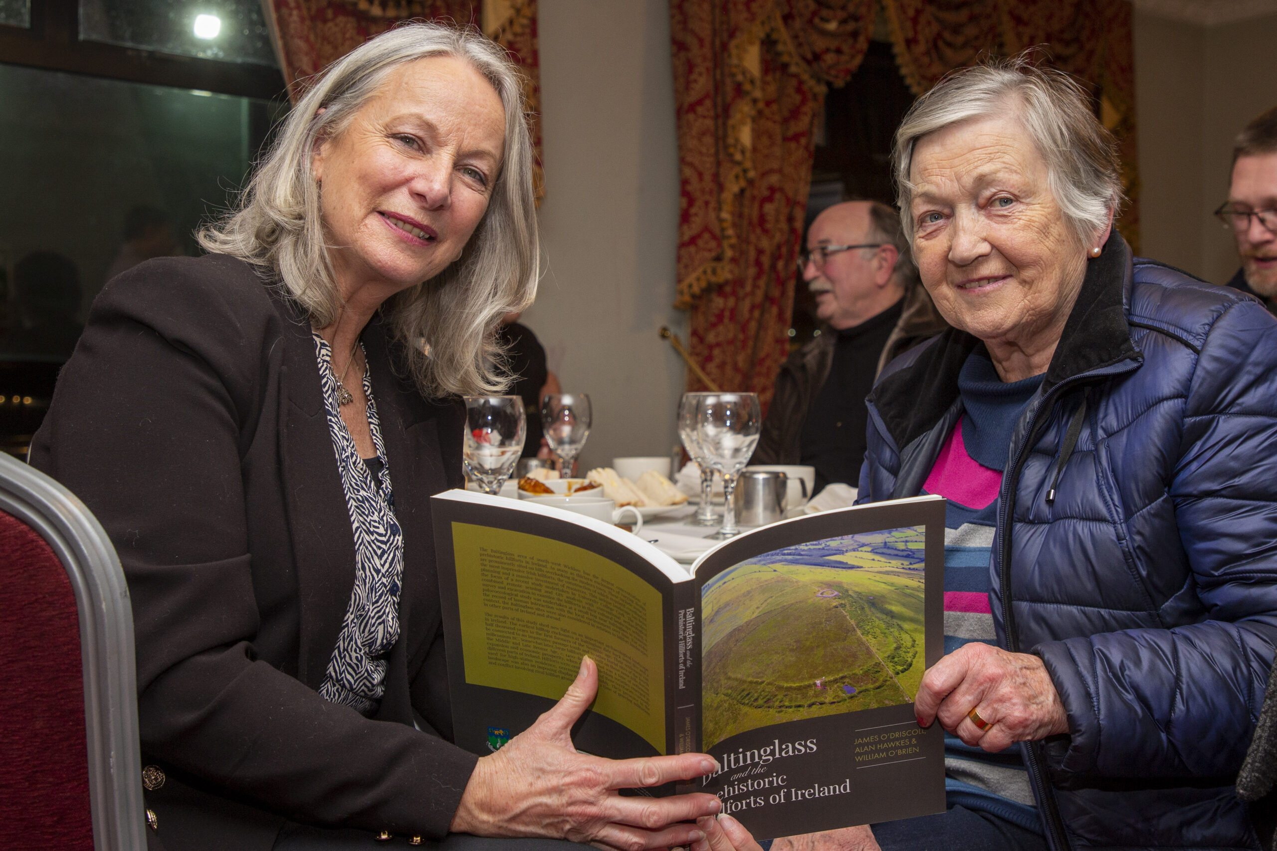 New Publication on Baltinglass and the Prehistoric Hillforts of Ireland