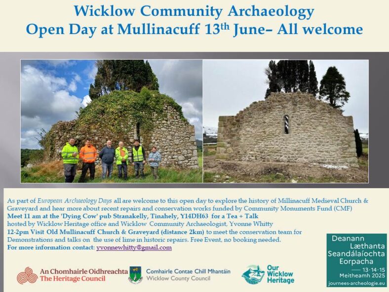Community Archaeology in County Wicklow 2025