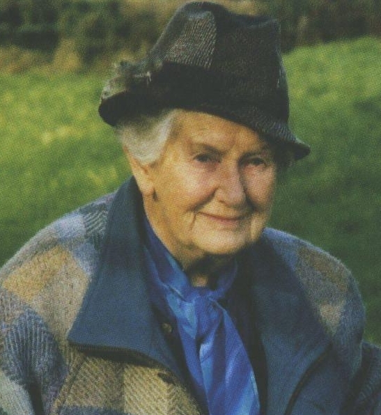 1916 And All That (A Personal Account) - County Wicklow Heritage