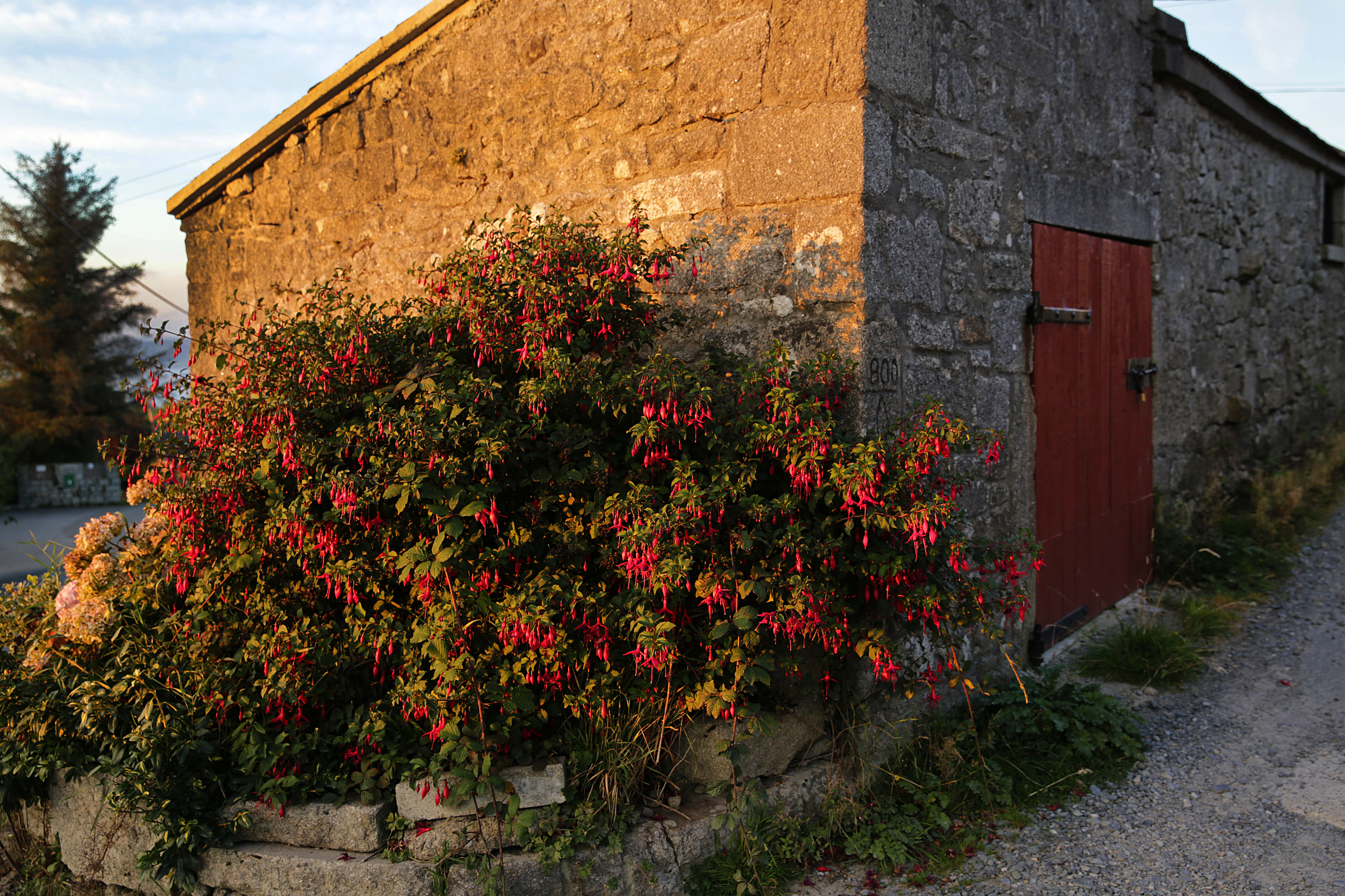 Project Images - County Wicklow Heritage