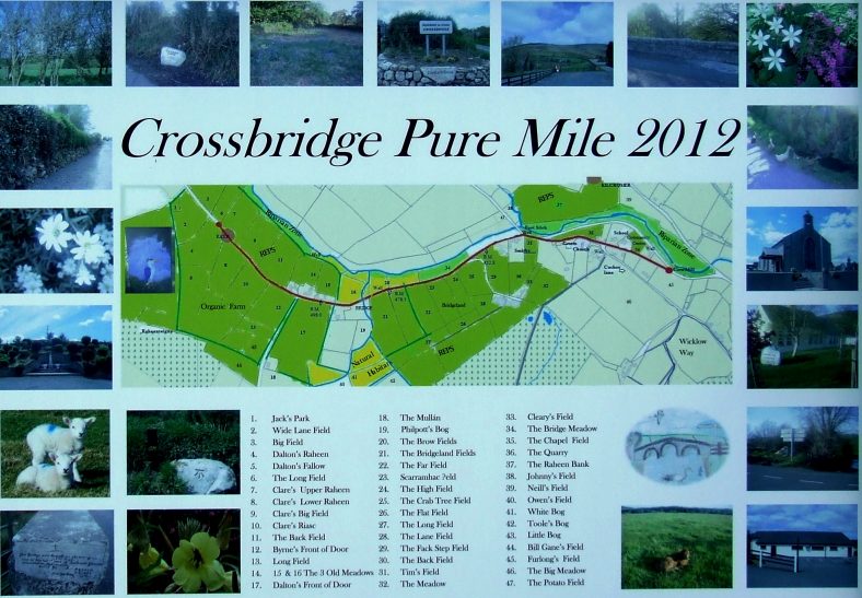 Crossbridge – PURE Mile