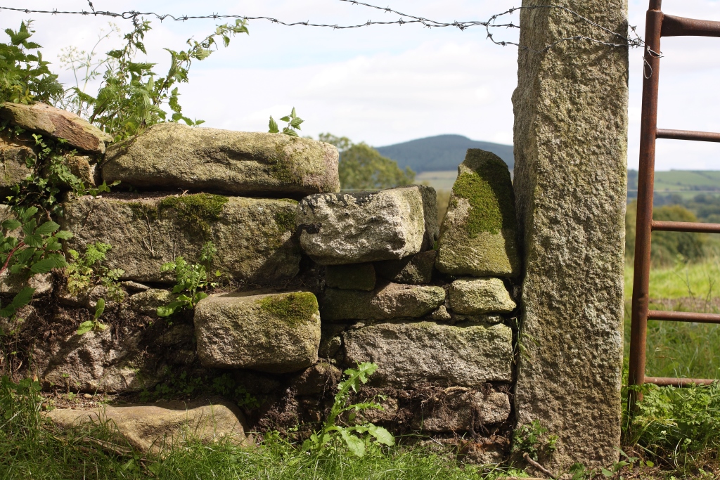 Killinure PURE Mile - County Wicklow Heritage