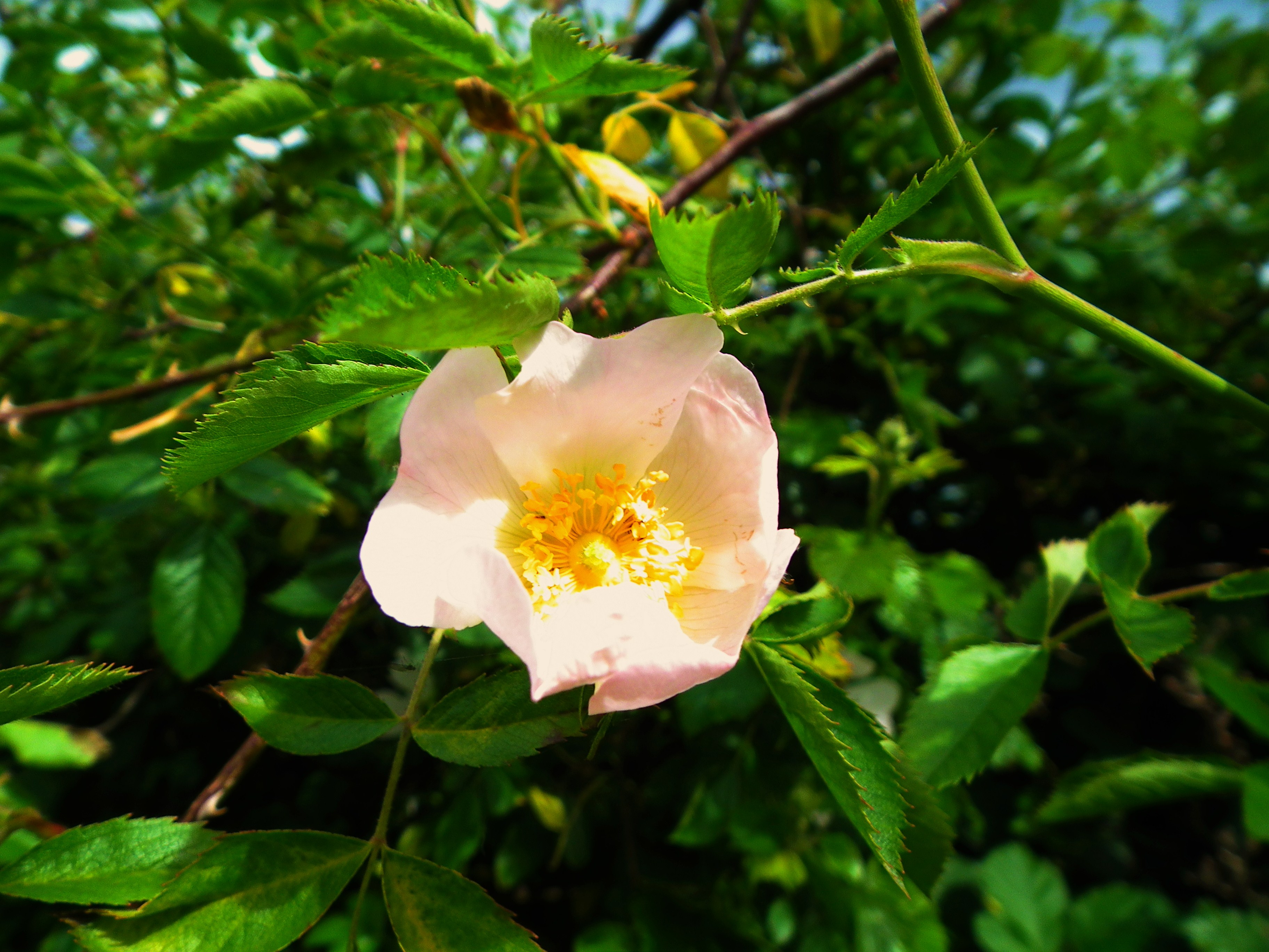 Wicklow's Living Coast - County Wicklow Heritage