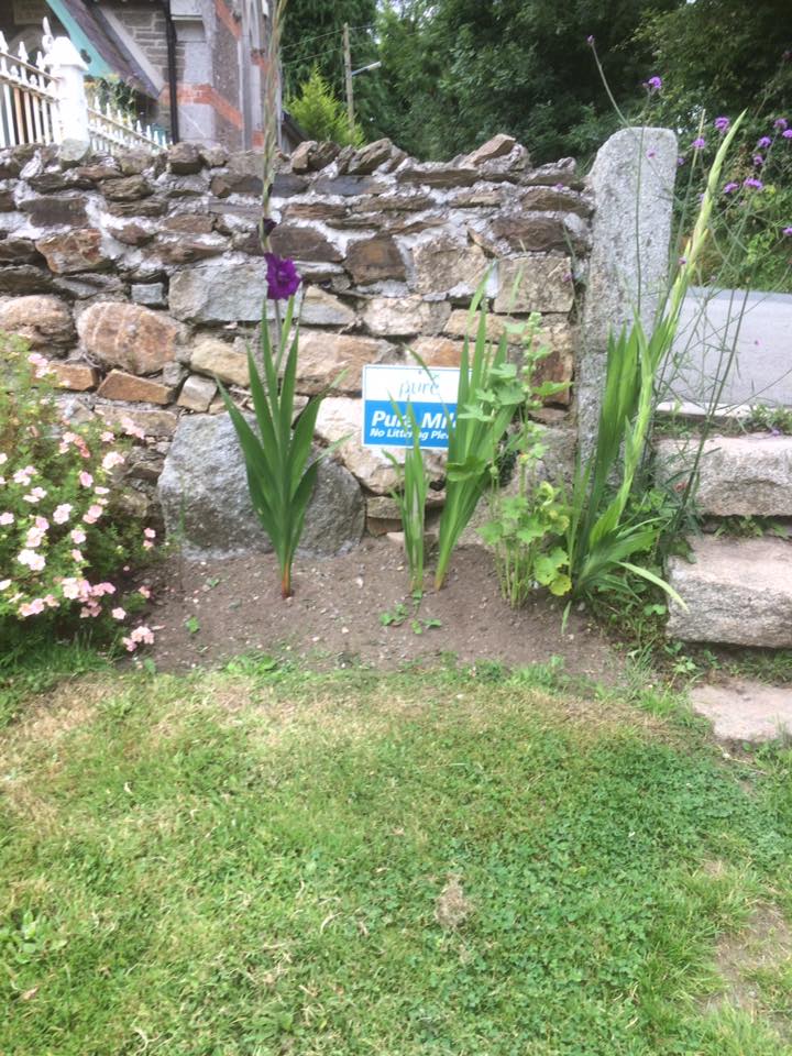 Glenealy PURE Mile 2016 - County Wicklow Heritage