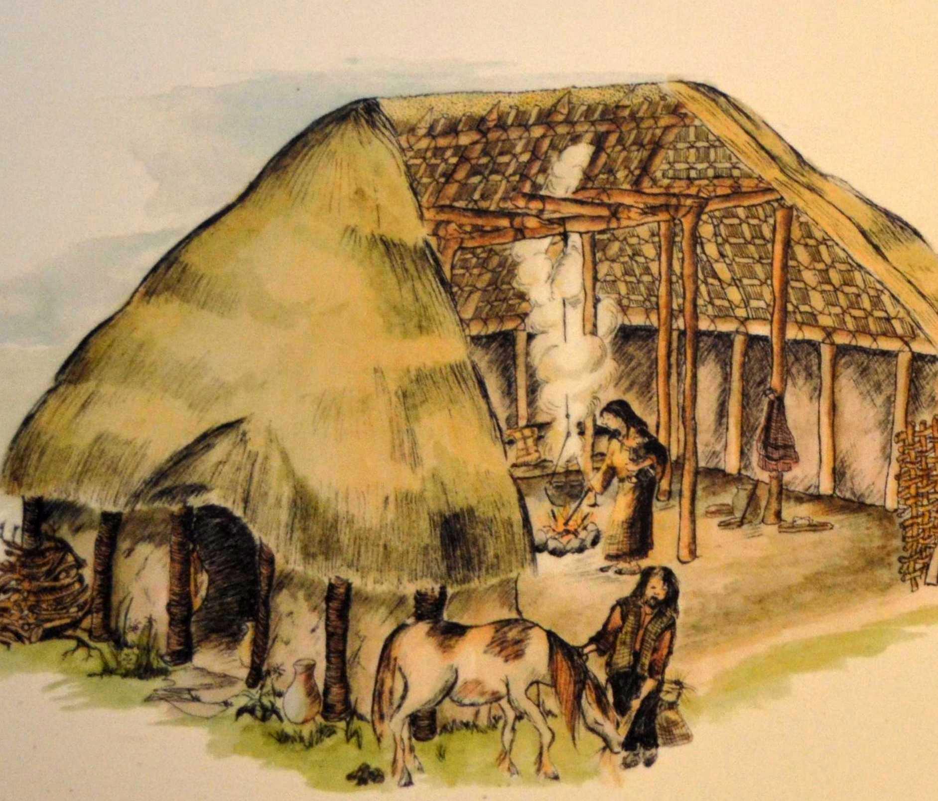 The Rath at Baltinglass Hill - County Wicklow Heritage