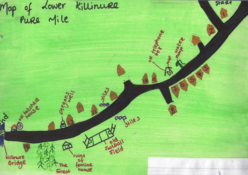Killinure PURE Mile - County Wicklow Heritage