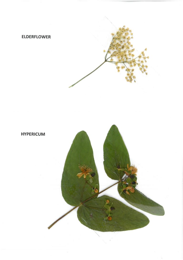 Glenealy - Black Hill - County Wicklow Heritage