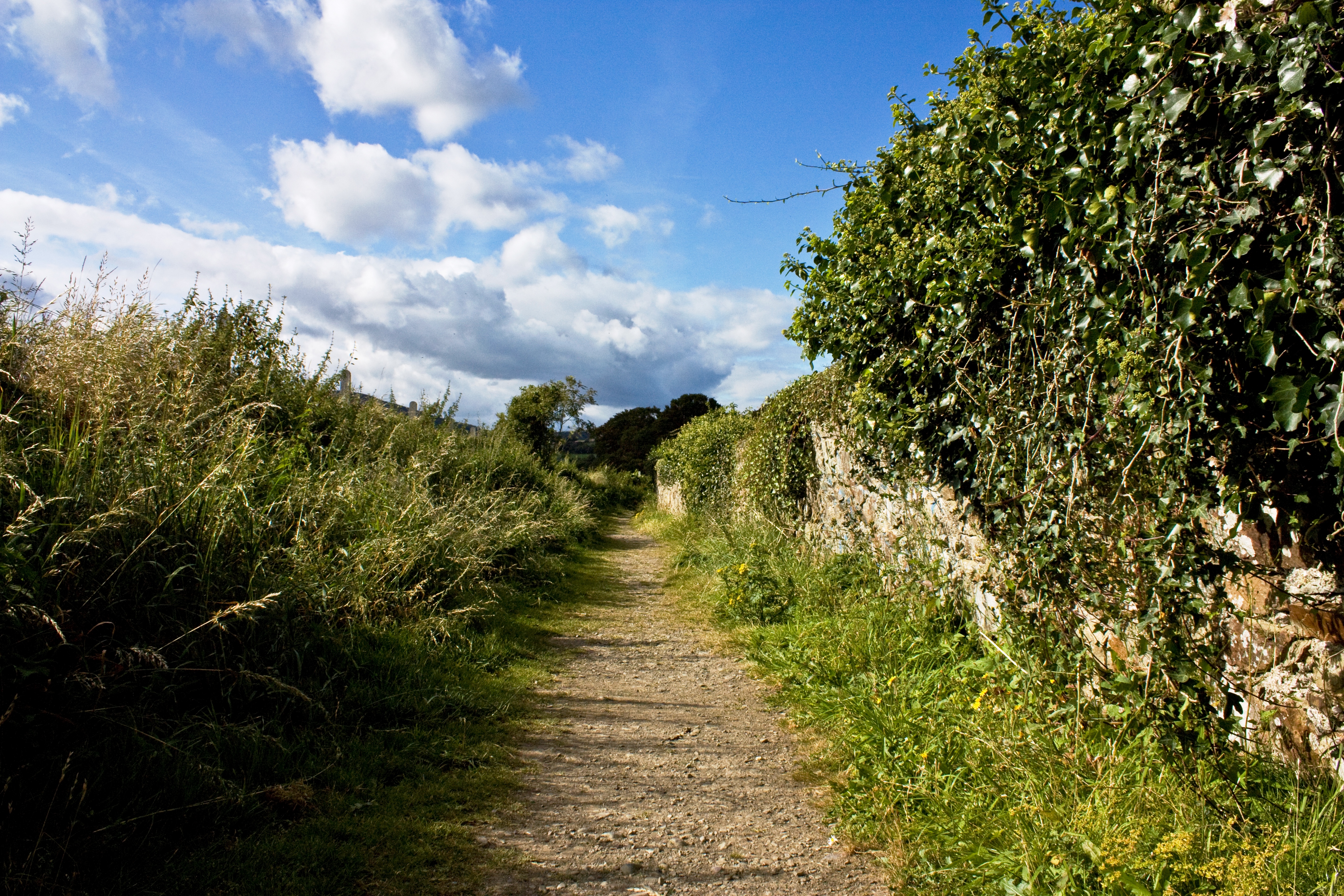 Kilcoole Mass Path PURE Mile - County Wicklow Heritage