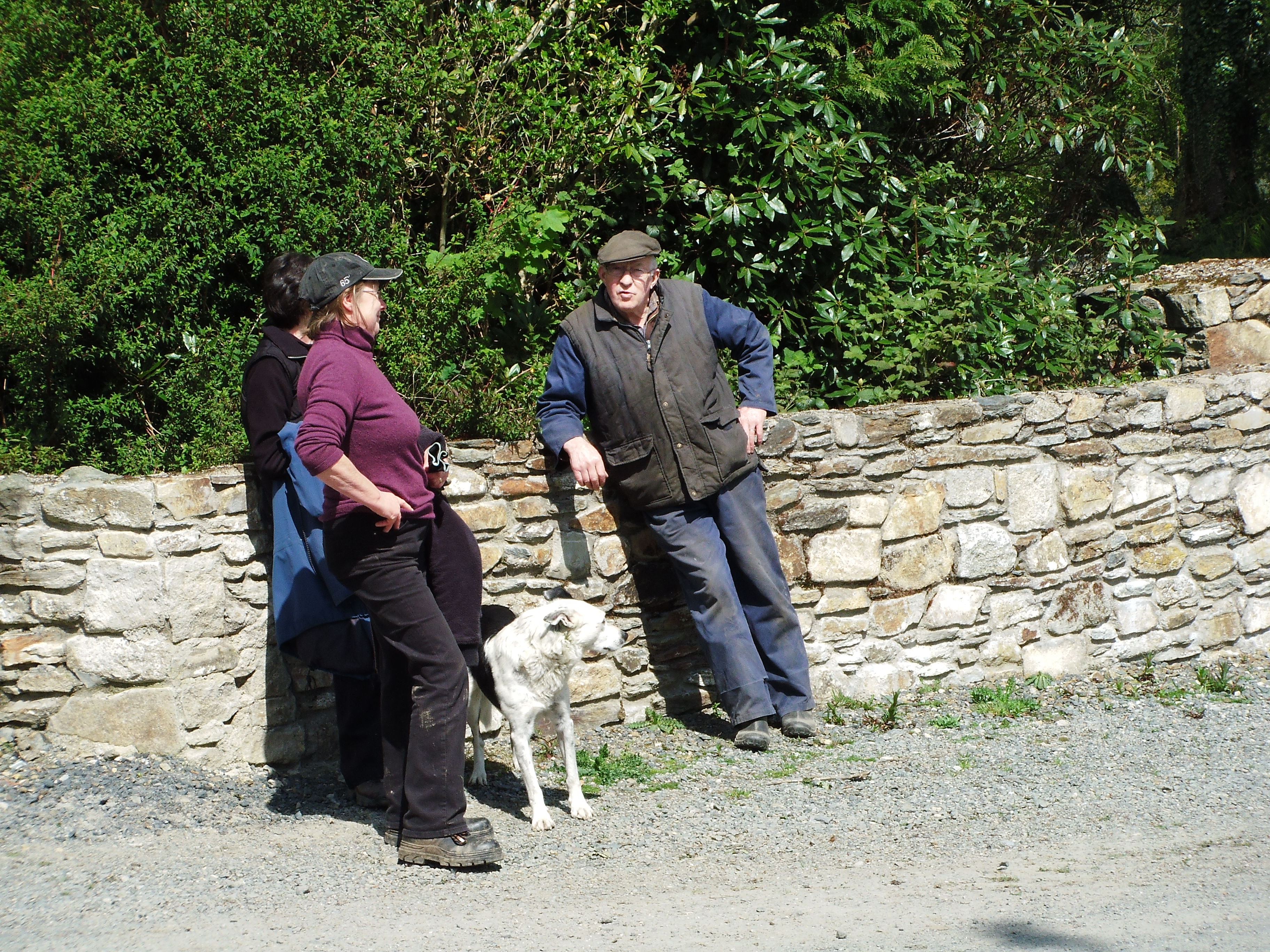 Ballymanus PURE Mile - County Wicklow Heritage