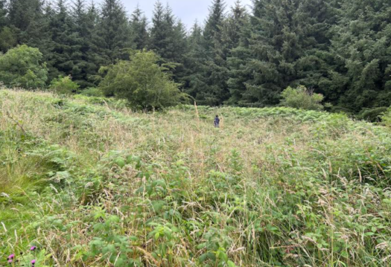 Blessington History Society - Explorations of people, places and topics